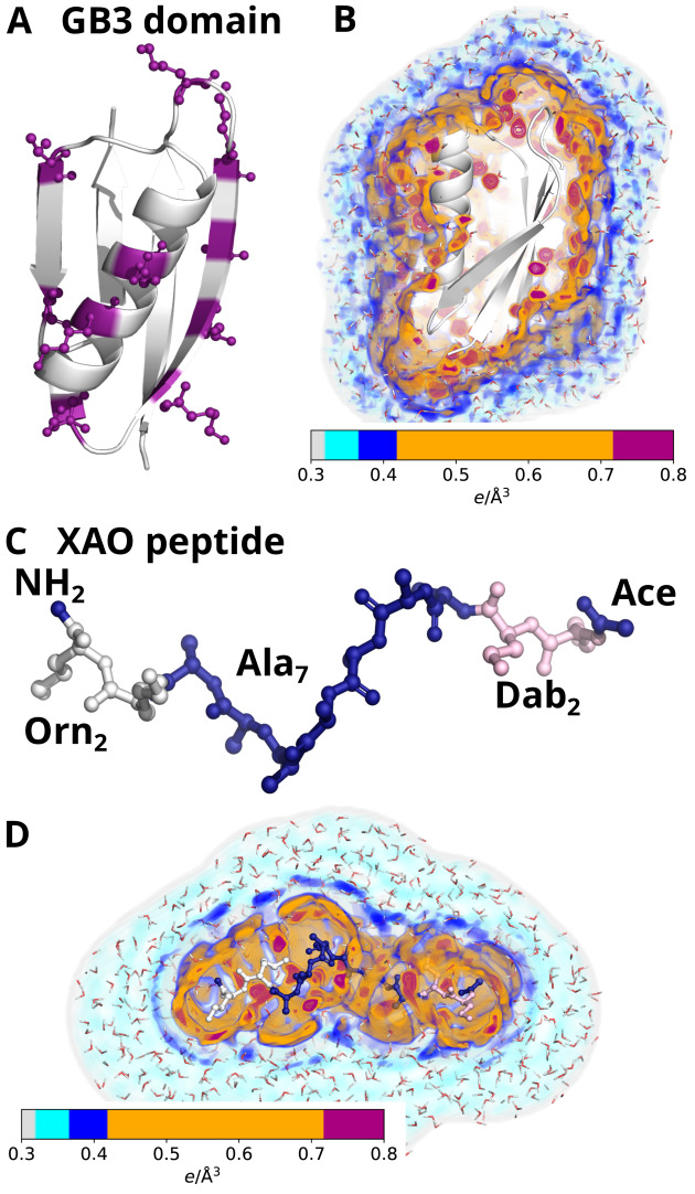How protein hydration depends on amino acid composition, peptide ...