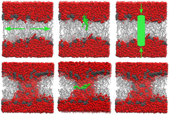 Simulations of Pore Formation in Lipid Membranes: Reaction Coordinates ...