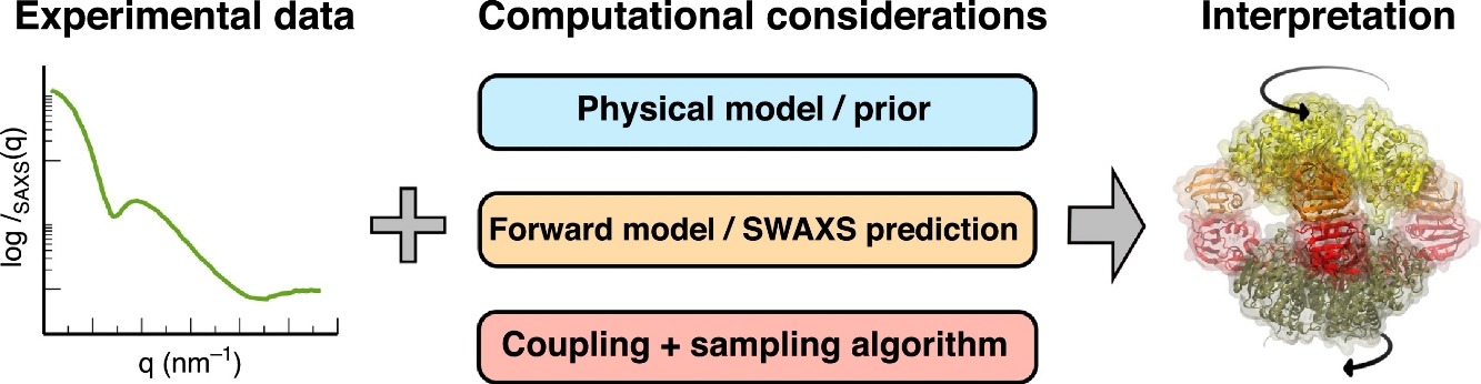 Interpreting solution X-ray scattering data using molecular simulations | Computational ...
