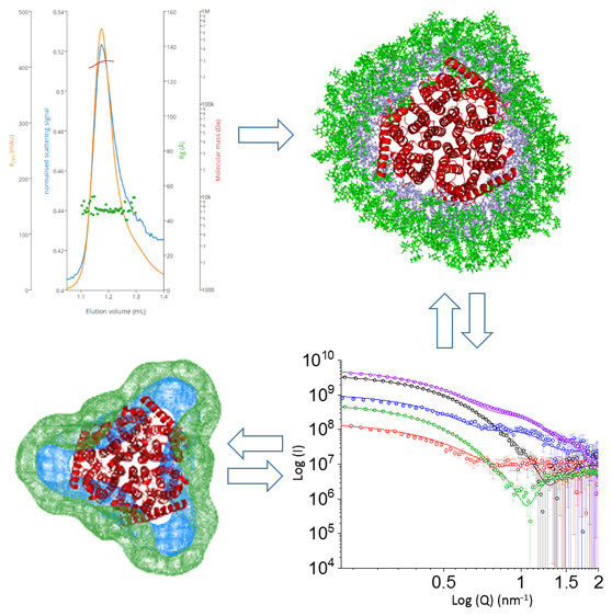 Merging In-Solution X-ray and Neutron Scattering Data Allows Fine Structural Analysis of ...