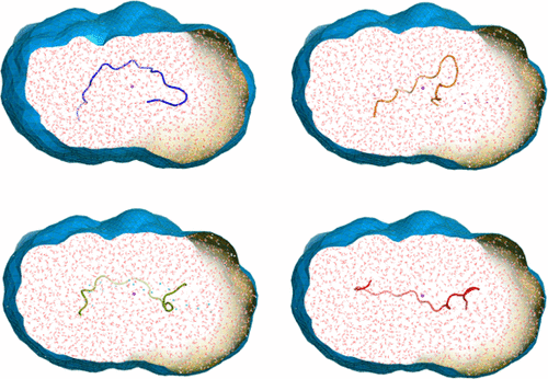 SAXS-Restrained Ensemble Simulations of Intrinsically Disordered ...