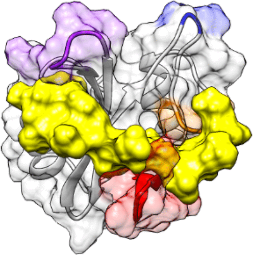 Structural Determinants of Phosphopeptide Binding to the N-Terminal Src ...