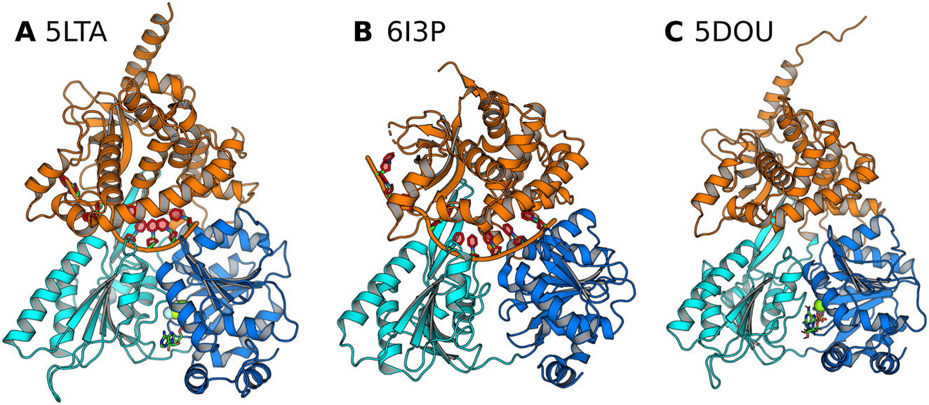 Molecular simulations of DEAH-box helicases reveal control of domain ...