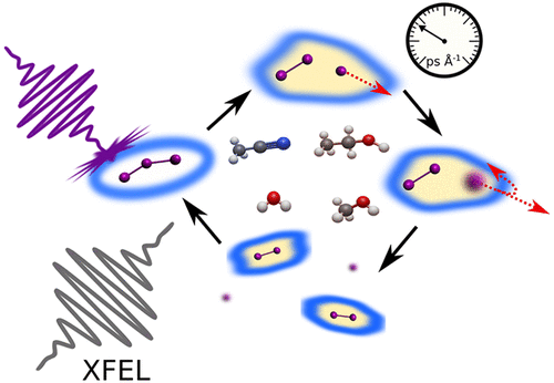 Solvent-Dependent Structural Dynamics in the Ultrafast Photodissociation Reaction of Triiodide ...