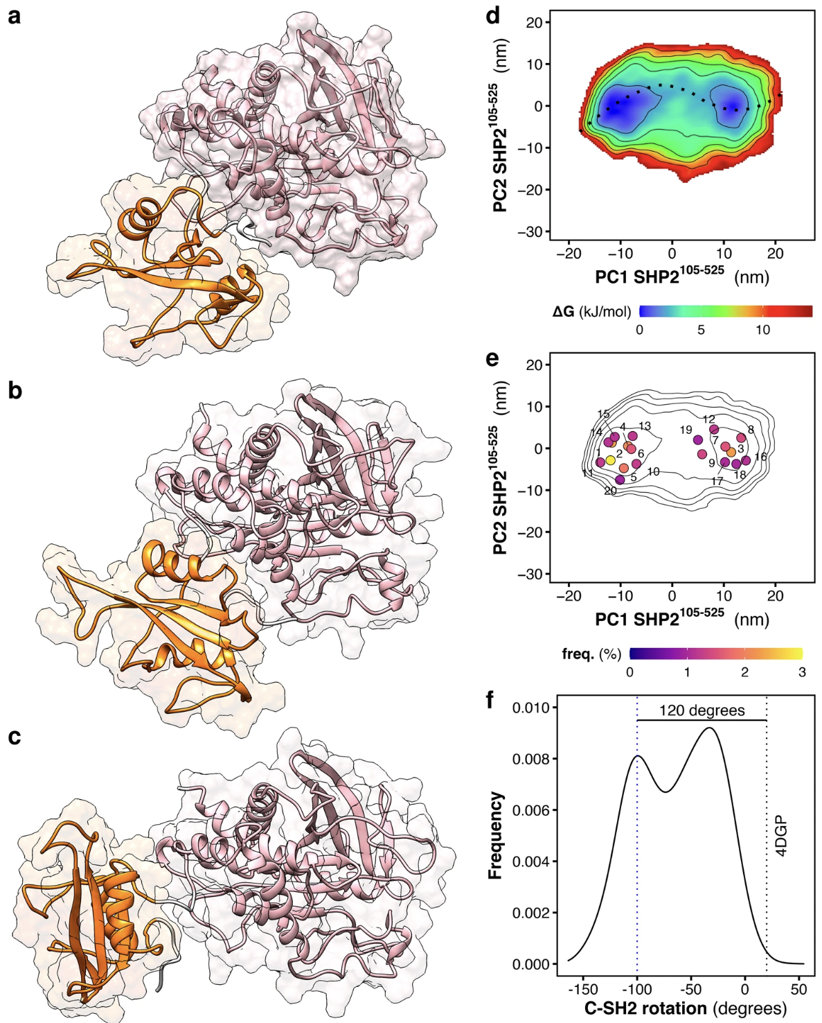 Atomistic ensemble of active SHP2 | Computational Biophysics Group