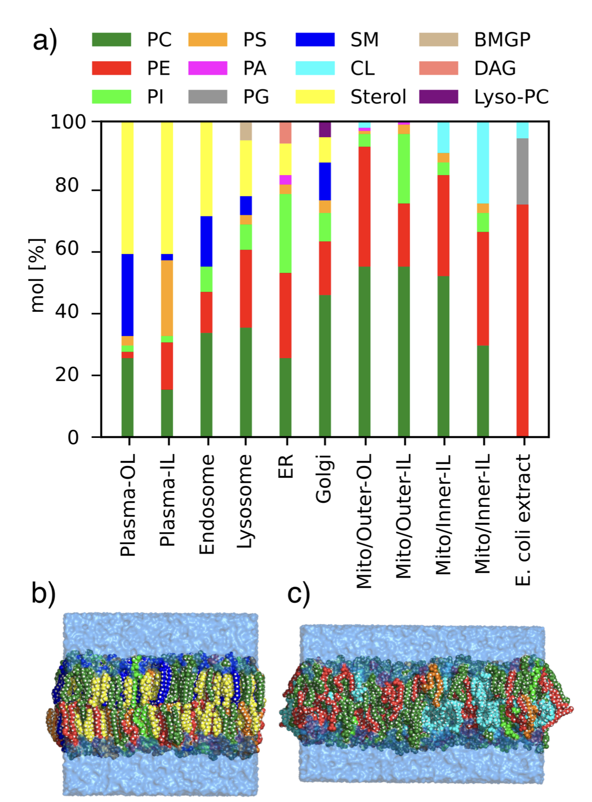 How pore formation in complex biological membranes is governed by lipid ...