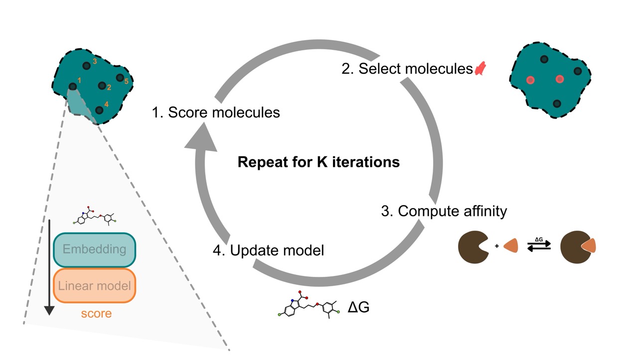 Accelerating ligand discovery by combining Bayesian optimization with ...